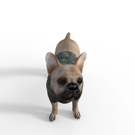Figurosity